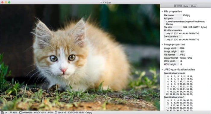 9 Best Image Viewer Apps for Mac [Updated 2024] - TechPP