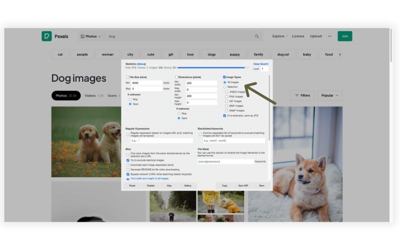 10 Best Image Downloader Chrome Extensions - TechPP