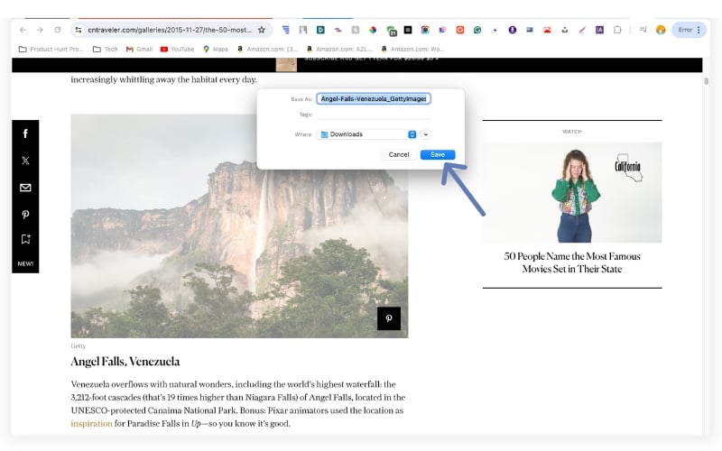 10 Best Image Downloader Chrome Extensions - TechPP