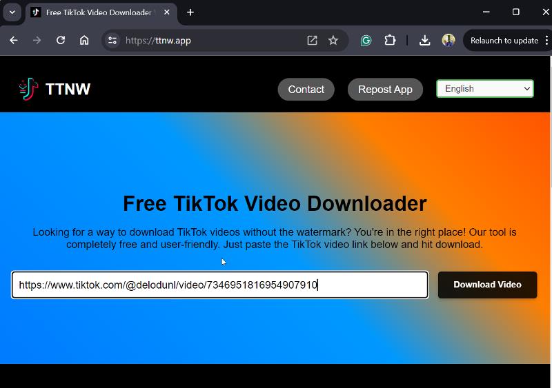 Download TikTok Videos Without Watermark: 5 Proven Methods