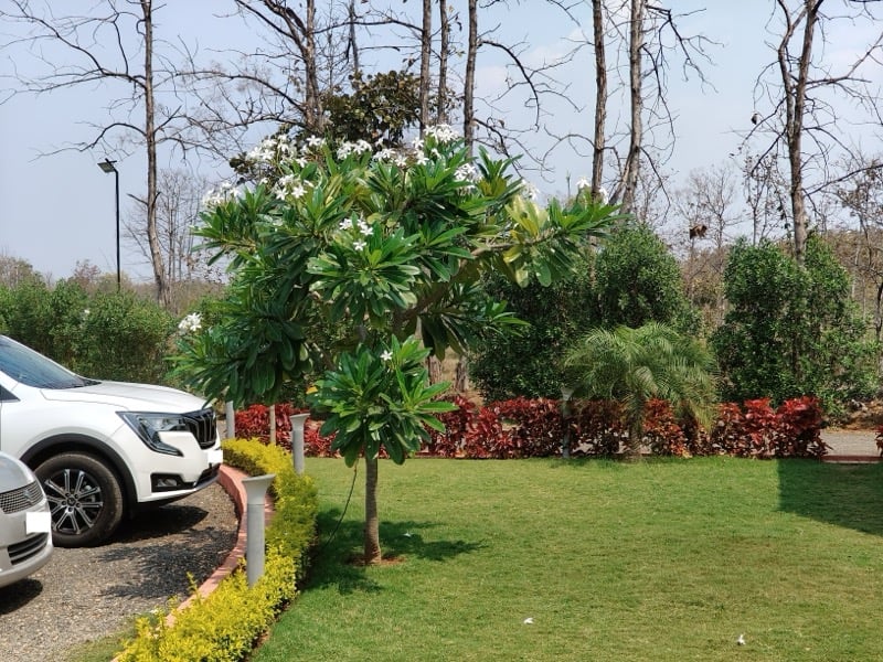 Realme 12 Pro Review: A Blend of Good Design and Good Cameras - TechPP