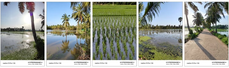 Realme 13 Pro Plus Review: Delivers Pro-Quality Photos With Style and ...